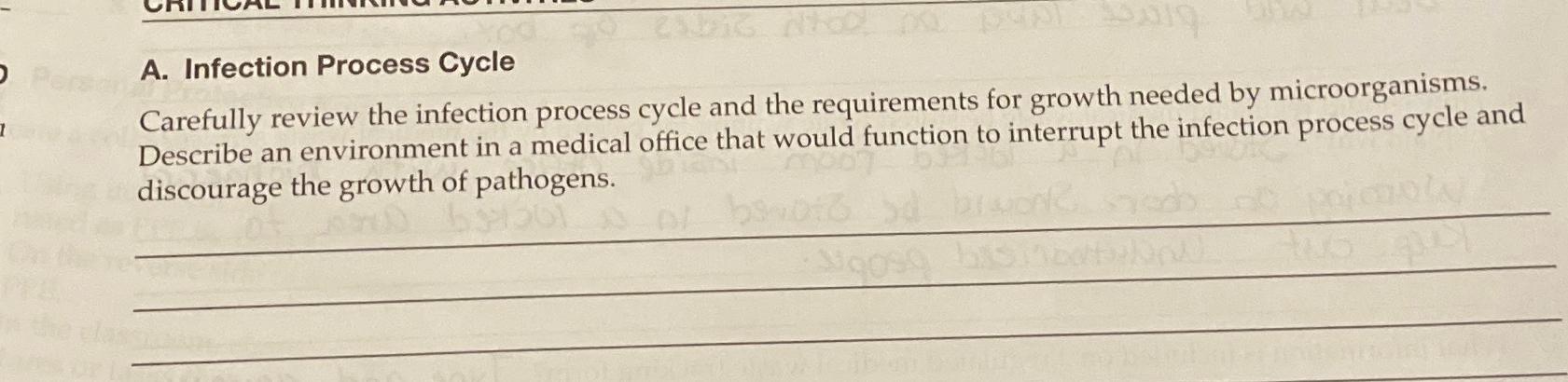 Solved A. ﻿Infection Process CycleCarefully review the | Chegg.com