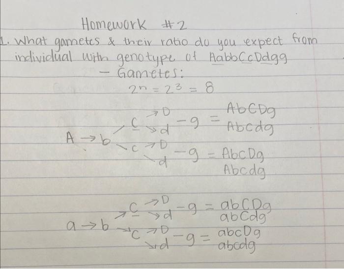 Solved 2n=23=8A→c→0Ab>c→D−gd−g=AbCDgAbcdgAbcDgAbcdg | Chegg.com