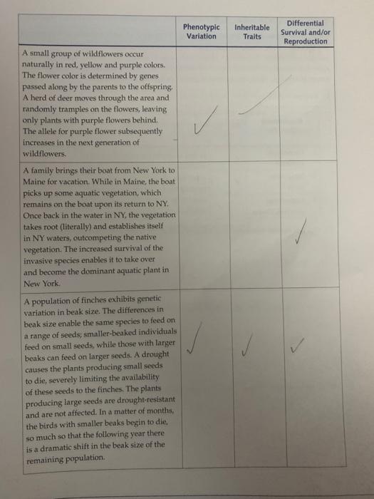 Phenotypic Variation Inheritable Traits Differential | Chegg.com
