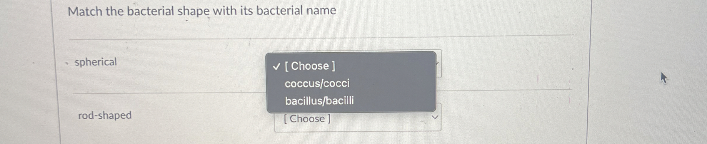 Solved Match the bacterial shape with its bacterial | Chegg.com