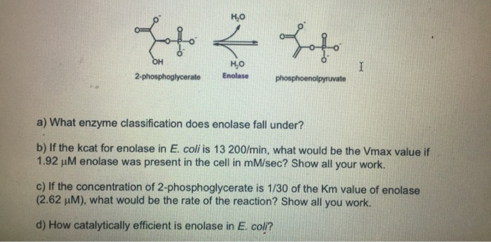 Solved +全社 LO Enolase 2-phosphoglycerate phosphoenolpyruvate | Chegg.com