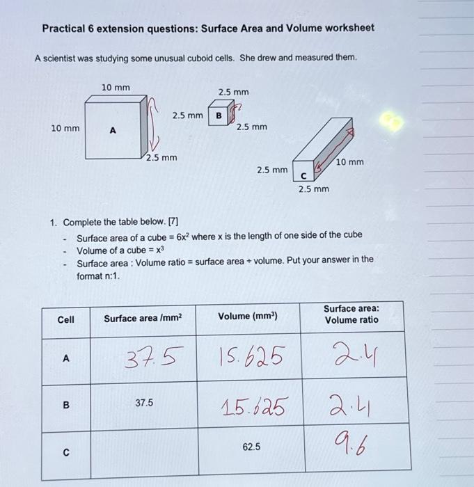 Solved Practical 6 extension questions: Surface Area and | Chegg.com