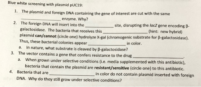 Solved Blue white screening with plasmid pUC19: 1. The | Chegg.com