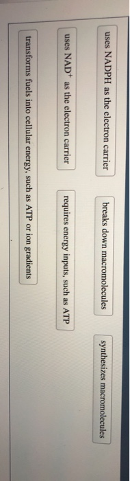 Solved Question 2 of 26 Match each characteristic to the | Chegg.com