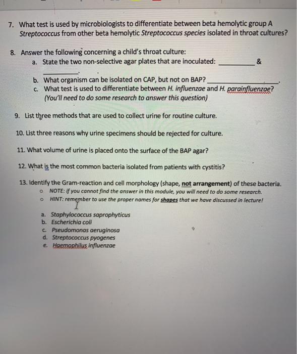 solved-7-what-test-is-used-by-microbiologists-to-chegg
