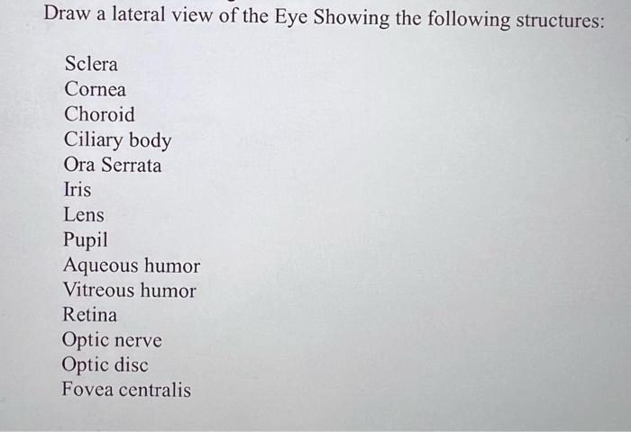 Solved Draw a lateral view of the Eye Showing the following | Chegg.com