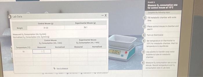 PHASE Measure o, consumption rate for control mouse | Chegg.com
