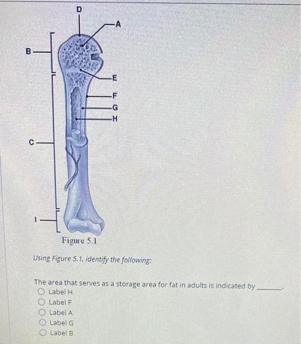 Solved Figure 5.4 The type of joint shown in Figure 5.4 is. | Chegg.com Solved Figure 5.4 The type of joint shown in Figure 5.4 is. | Chegg.com