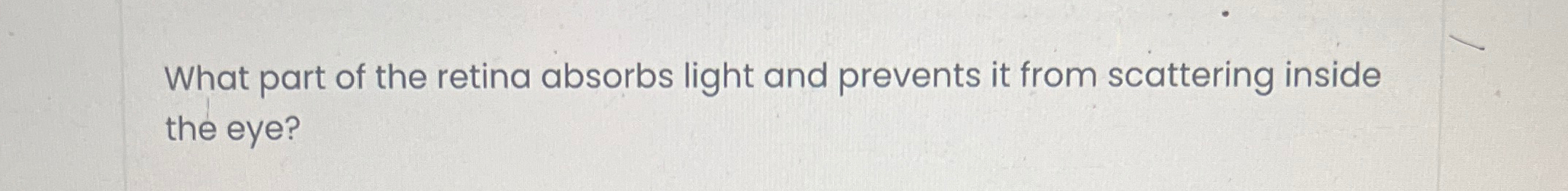 Solved What part of the retina absorbs light and prevents it | Chegg.com