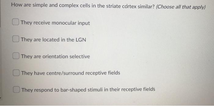 Solved How are simple and complex cells in the striate | Chegg.com