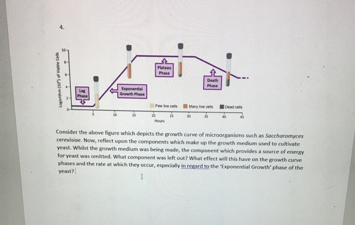 Solved 4. Plateau Phase - Logarithm (10 of Viable Cells | Chegg.com