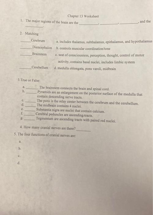 Solved Chapter 13 Worksheet 1. The major regions of the | Chegg.com