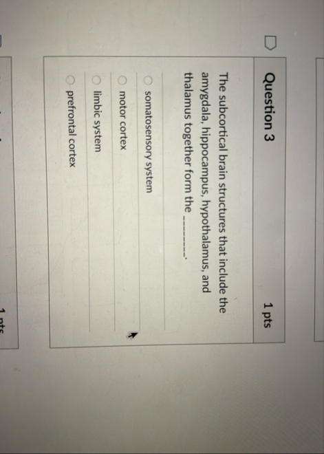 Solved Question 31 ﻿ptsThe subcortical brain structures that | Chegg.com