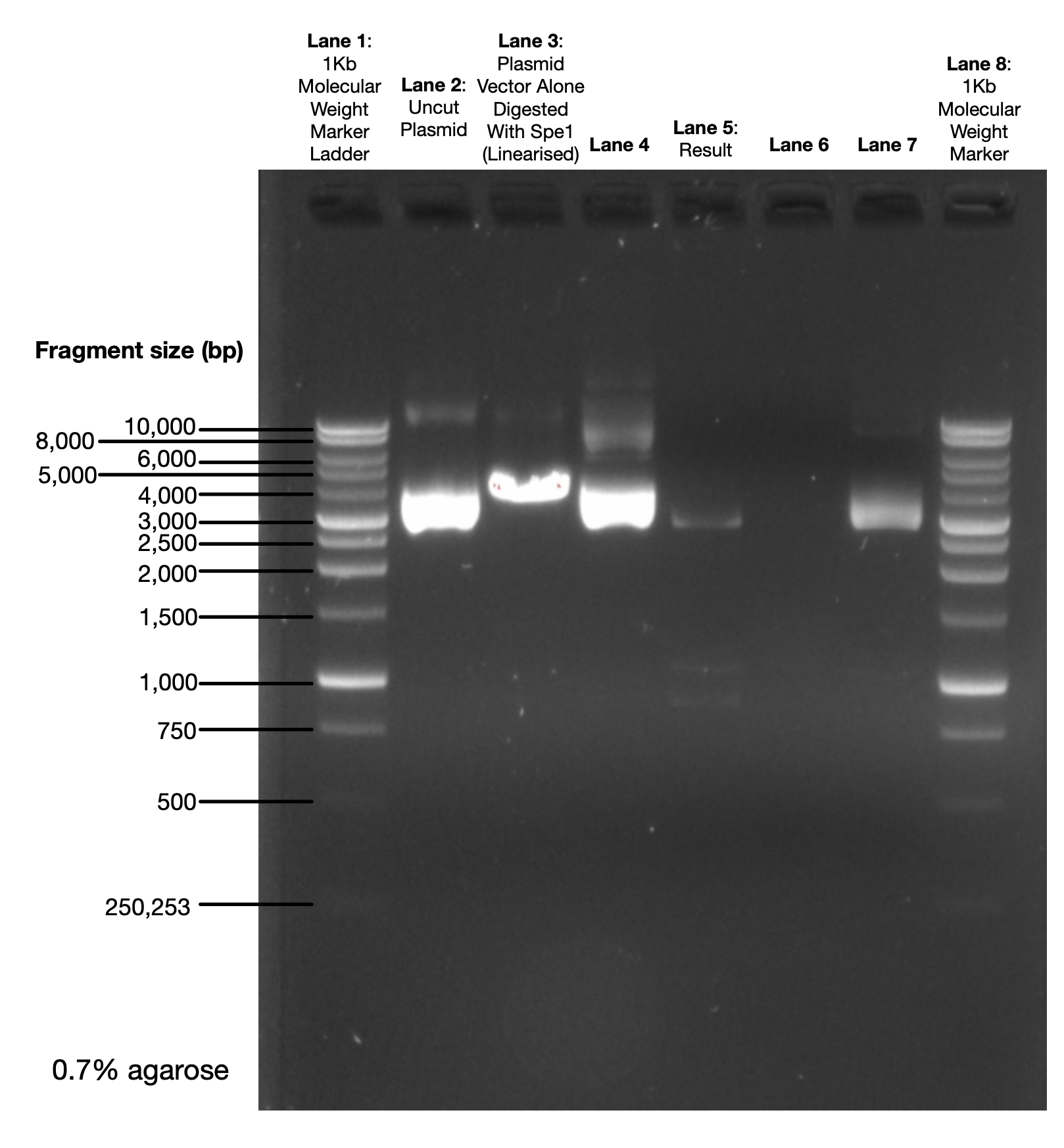 Solved can you help me read how many bands and what is the | Chegg.com