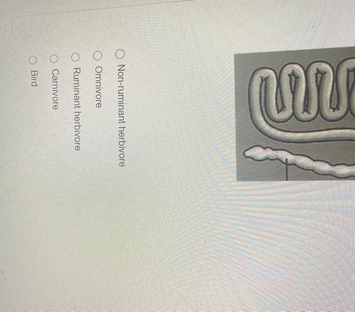 Solved The illustration below shows the digestive tract of | Chegg.com