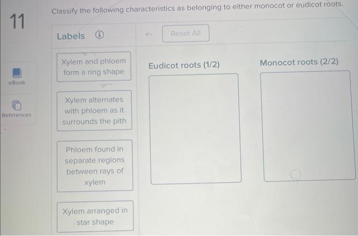 Solved Classify the following characteristics as belonging | Chegg.com