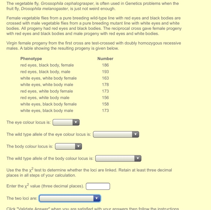 Solved The vegetable fly, Grossophila cephalograsper, is | Chegg.com