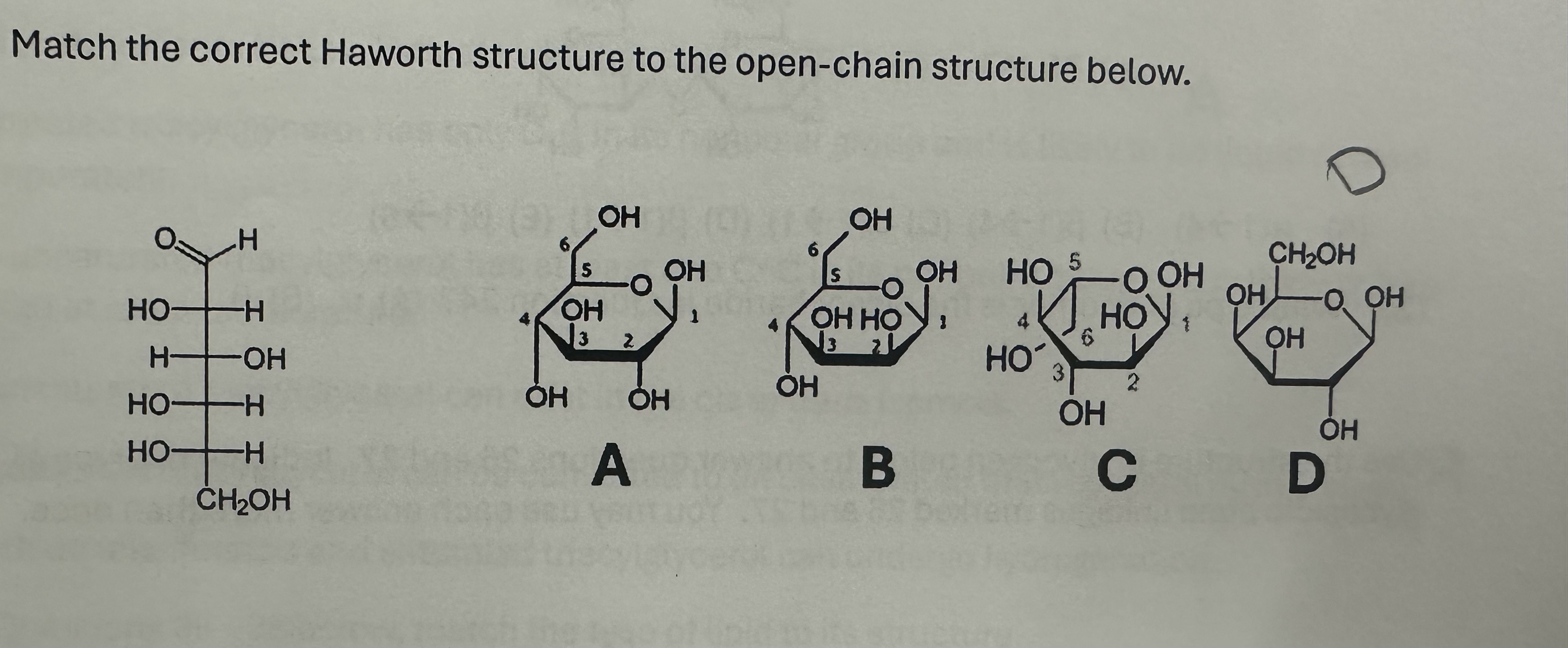 Solved Match the correct Haworth structure to the open-chain | Chegg.com