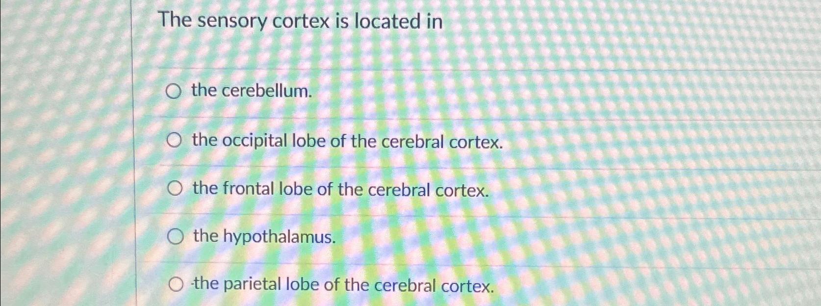 Solved The sensory cortex is located inthe cerebellum.the | Chegg.com