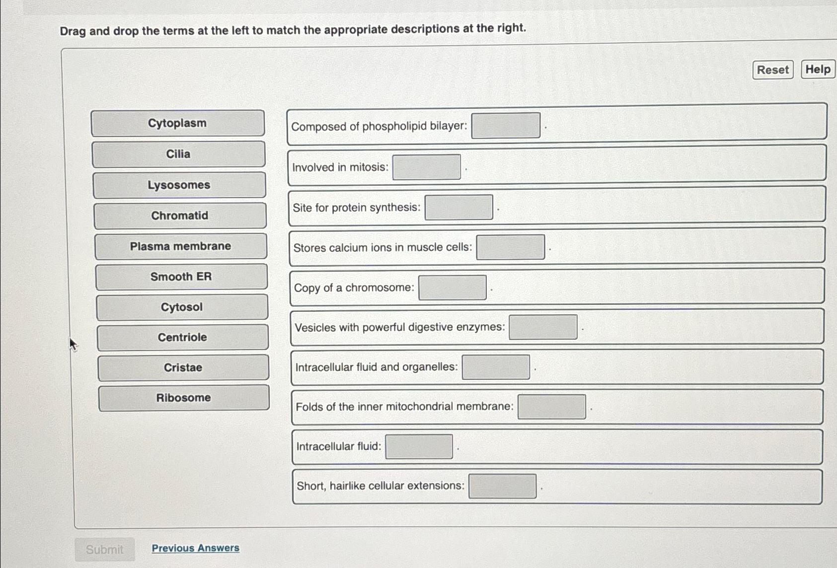 Solved Drag and drop the terms at the left to match the | Chegg.com