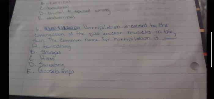 Solved 2015 Horripilation becaused by the Lanteraction of | Chegg.com