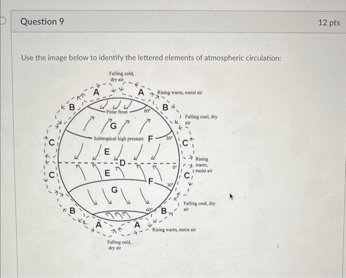 Solved Use the image below to identify the lettered elements | Chegg.com