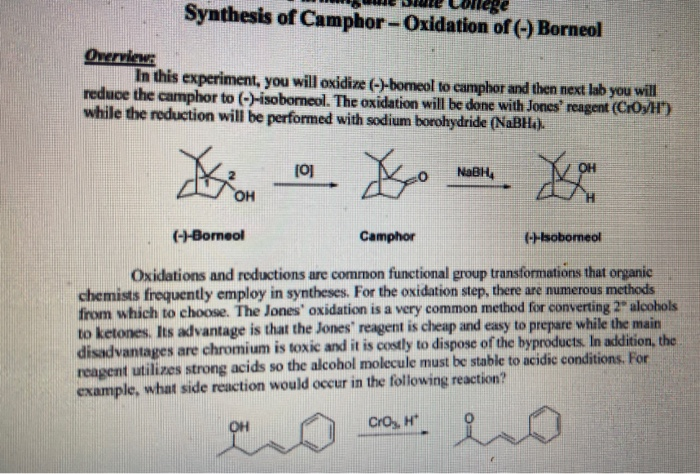 Solved Discussion Ouestions: 1: In the oxidation reaction, | Chegg.com