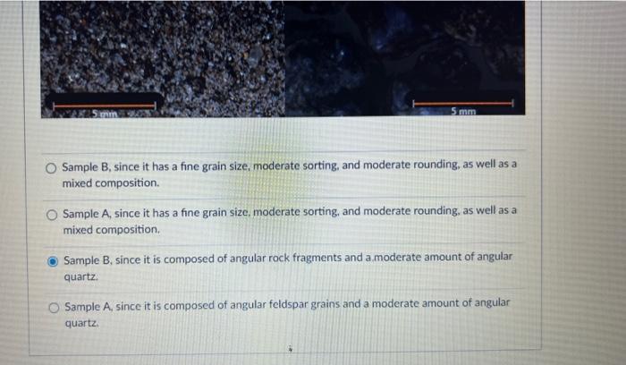 Solved Which of these two samples is more likely to be from | Chegg.com