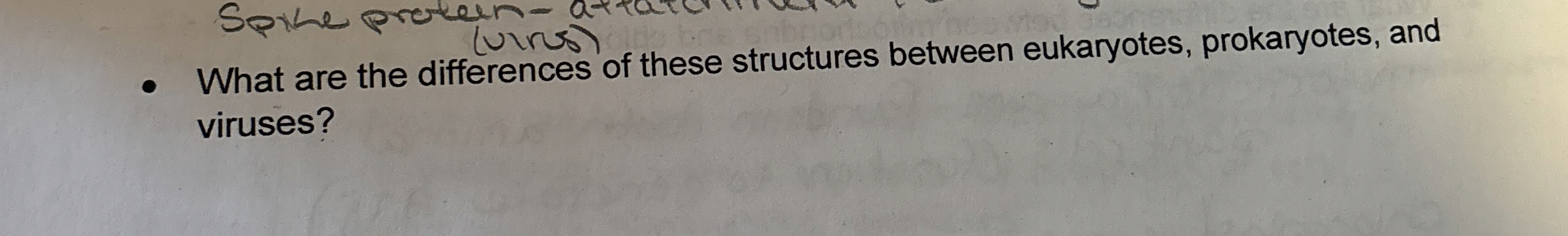 Solved What are the differences of these structures between | Chegg.com
