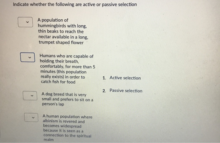 Solved Indicate whether the following are active or passive | Chegg.com