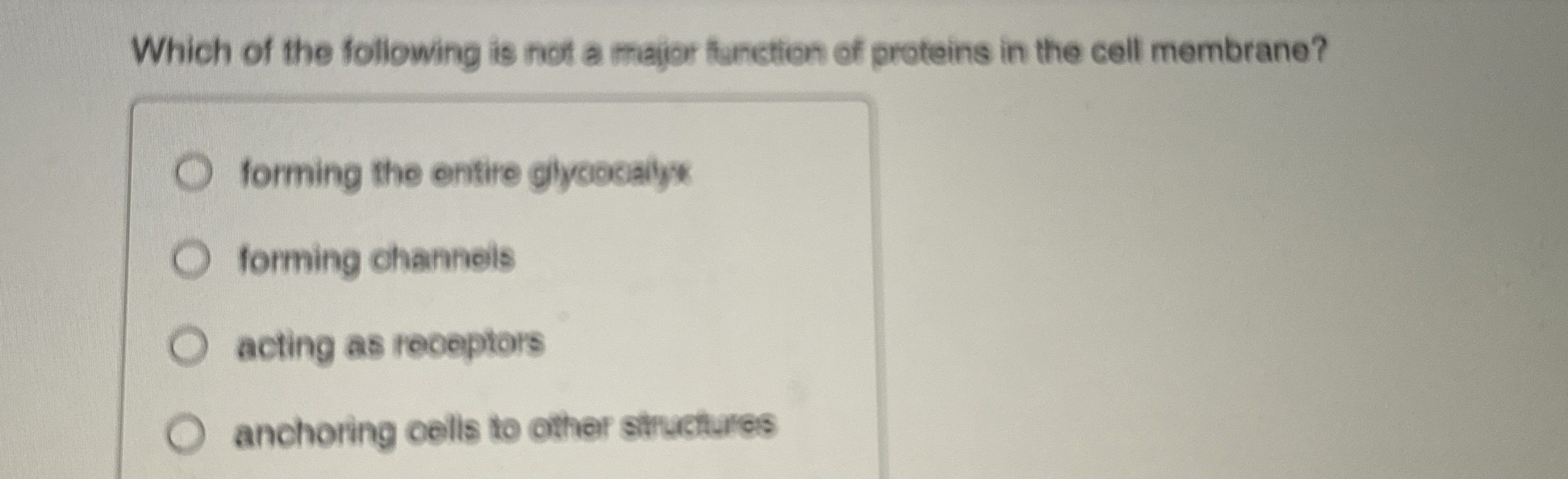 Solved Which of the following is not a major function of | Chegg.com
