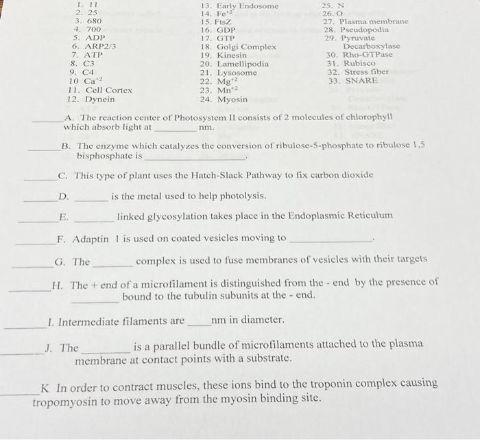 Solved 1. 11 2. 25 3. 680 4. 700 5. ADP 6. ARP2/3 7. ATP 8. | Chegg.com