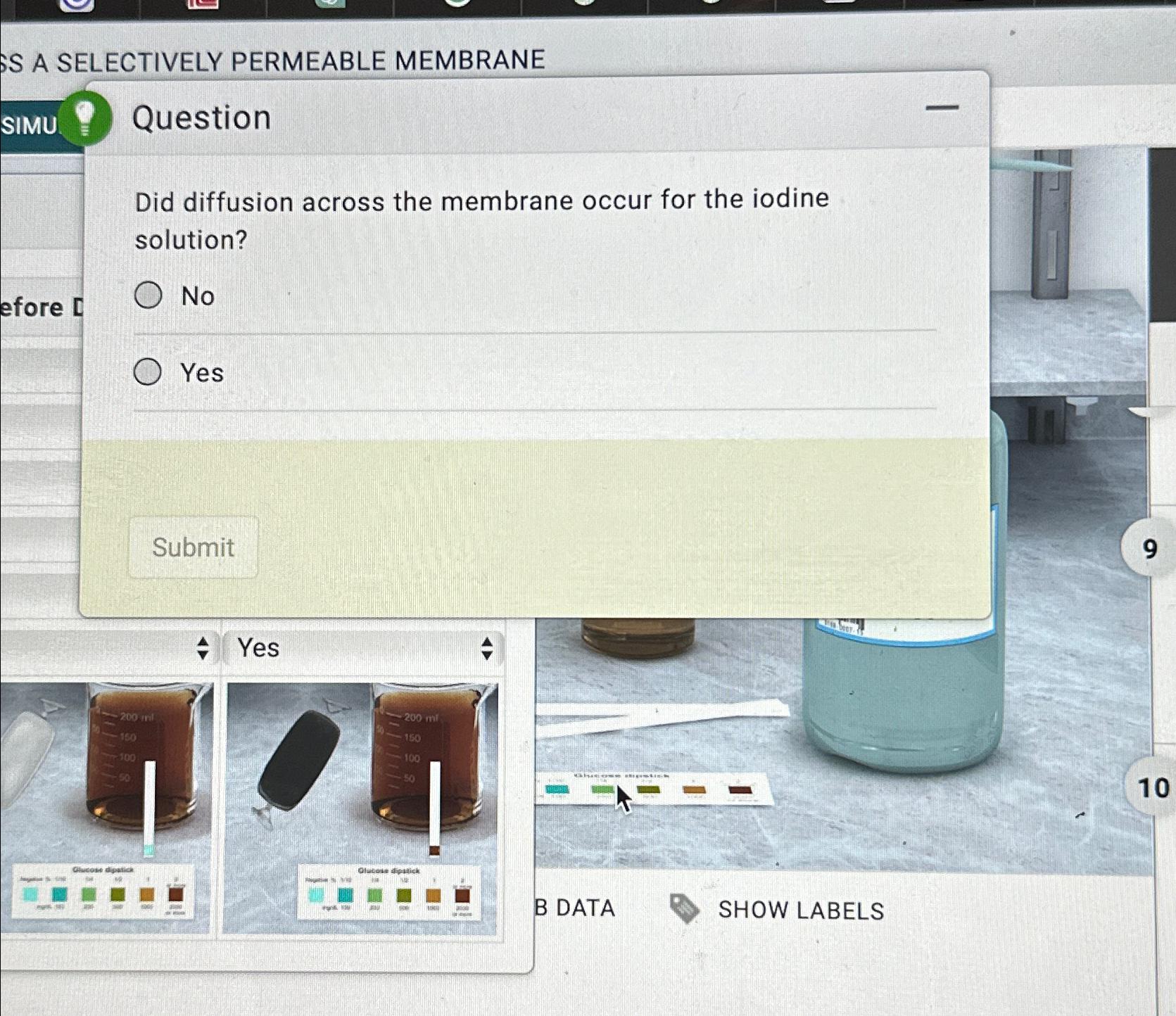Solved SS A SELECTIVELY PERMEABLE MEMBRANESIMUQuestionDid | Chegg.com