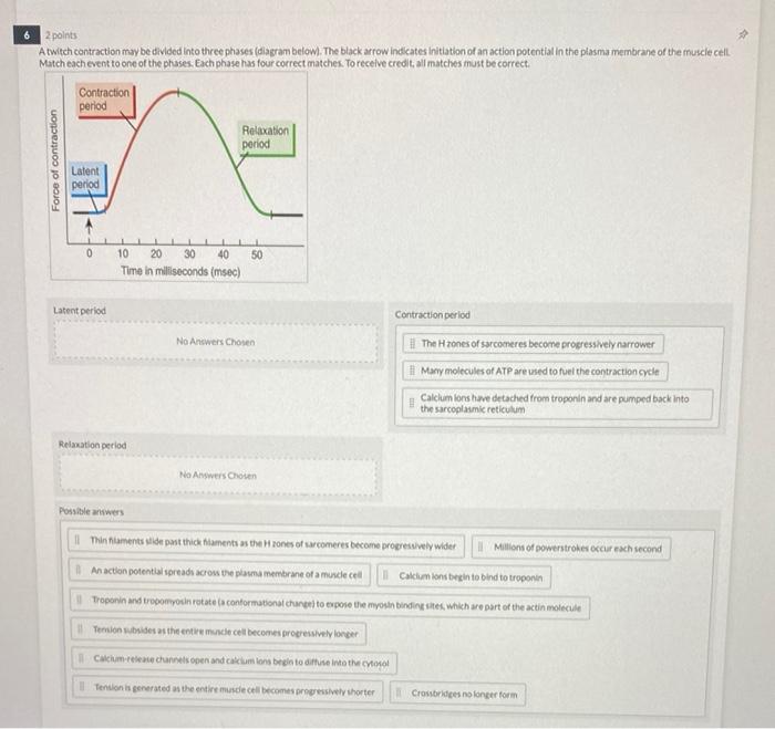 Solved 2 points Atwitch contraction may be divided into | Chegg.com