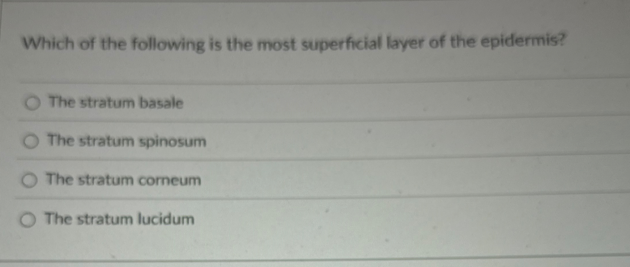 Solved Which of the following is the most superficial layer | Chegg.com