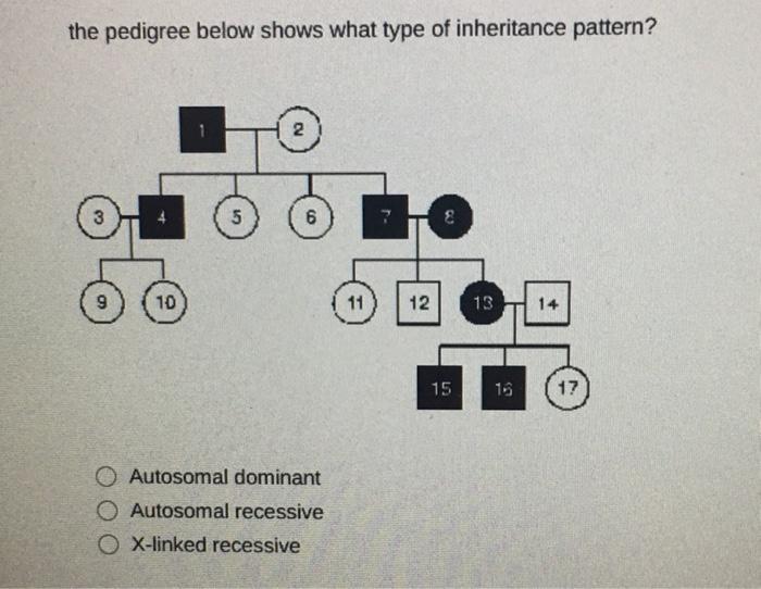 Solved the pedigree below shows what type of inheritance | Chegg.com