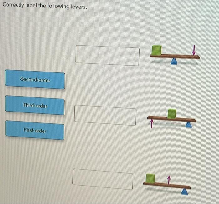 Solved Correctly label the following levers. Second-order 11 | Chegg.com