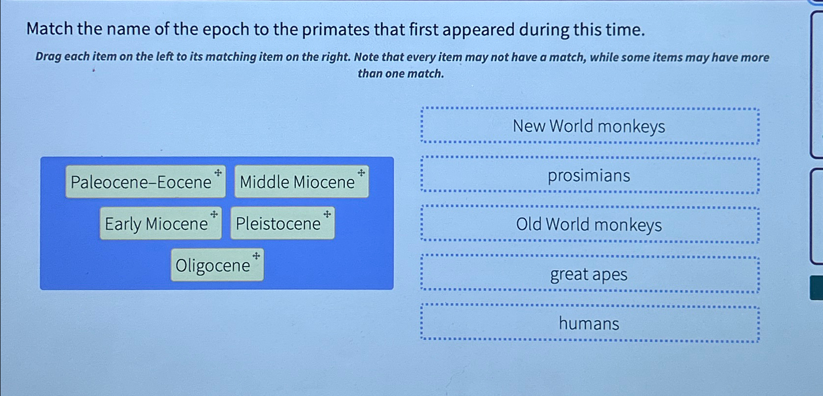 Solved Match the name of the epoch to the primates that | Chegg.com
