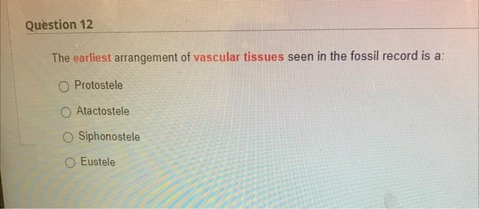 Solved The earliest arrangement of vascular tissues seen in | Chegg.com