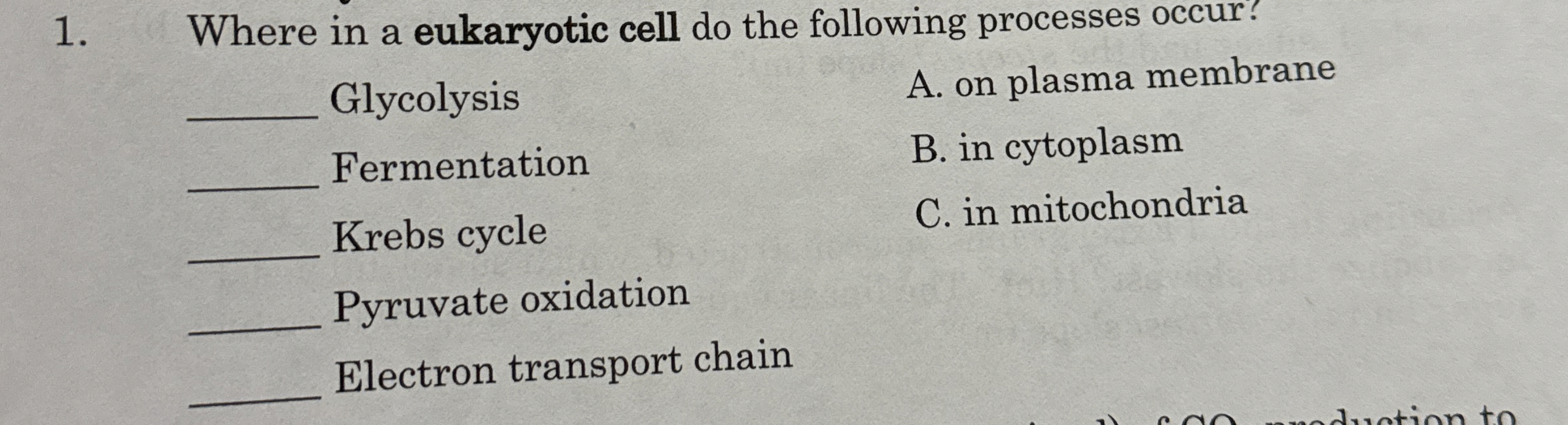 Solved Where in a eukaryotic cell do the following processes | Chegg.com
