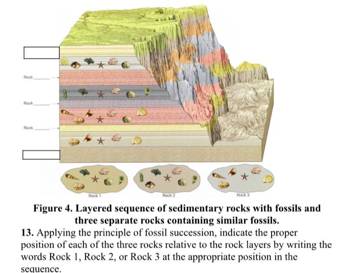 Sedimentary Rock Layers With Fossils