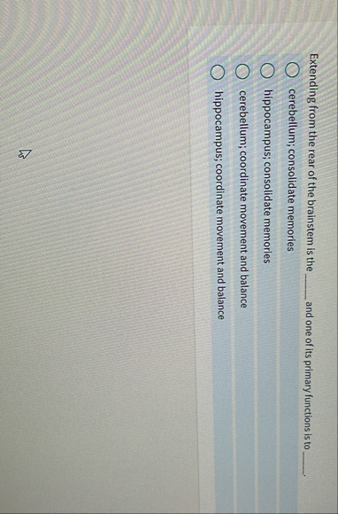 Solved Extending from the rear of the brainstem is the q, | Chegg.com