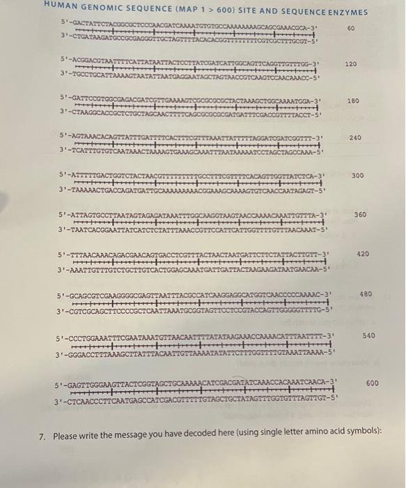 Solved write the messgae you have decoded here (using single | Chegg.com