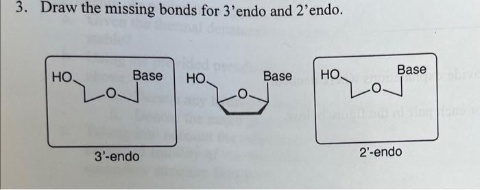 Solved 3. Draw the missing bonds for 3 'endo and 2 'endo. | Chegg.com