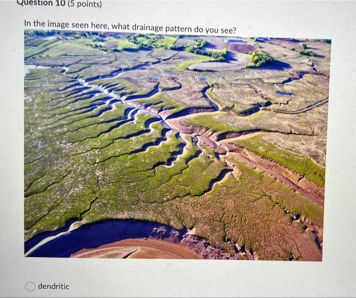 Solved In the image seen here, what drainage pattern do you | Chegg.com