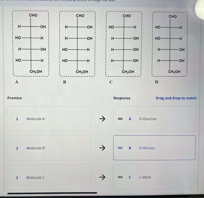 Solved Premise Response Drag and drop to match 1 Molecule A | Chegg.com