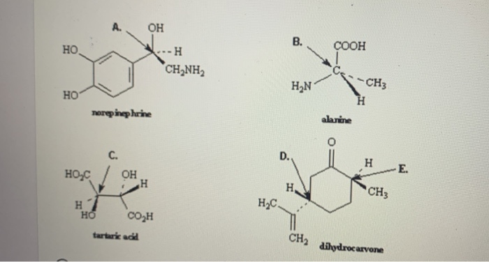 Solved OH vo: COOH H CH NH2 --CH₃ HN norepinephrine alarine | Chegg.com