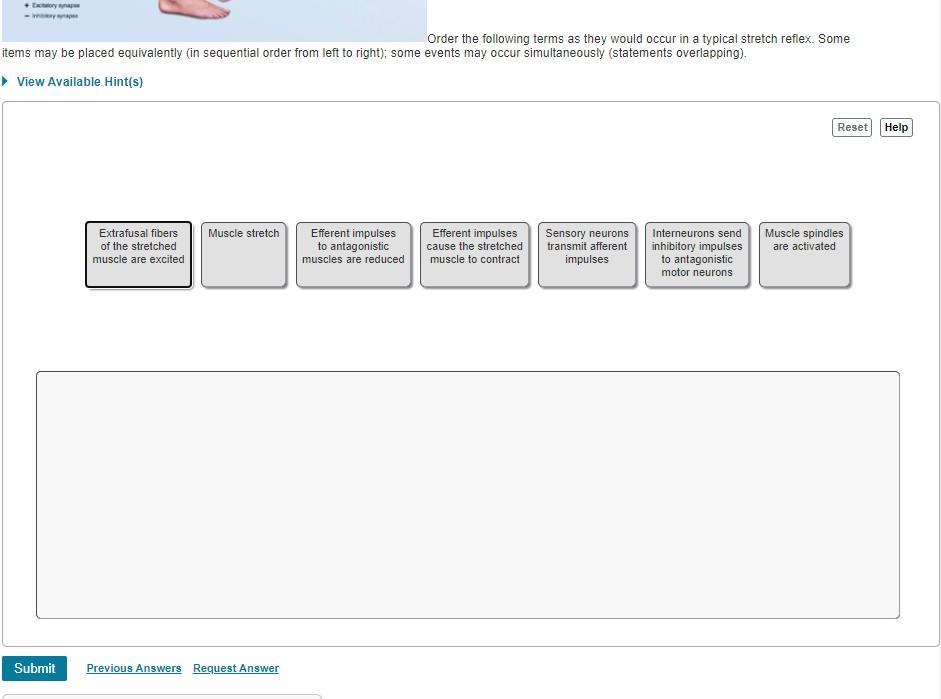 Solved Order the following terms as they would occur in a | Chegg.com
