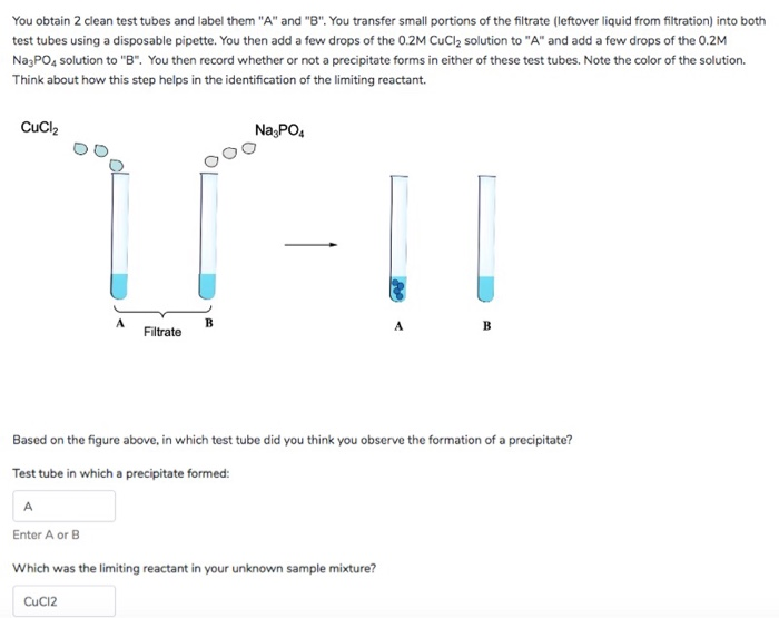 Solved You obtain 2 clean test tubes and label them "A" and | Chegg.com