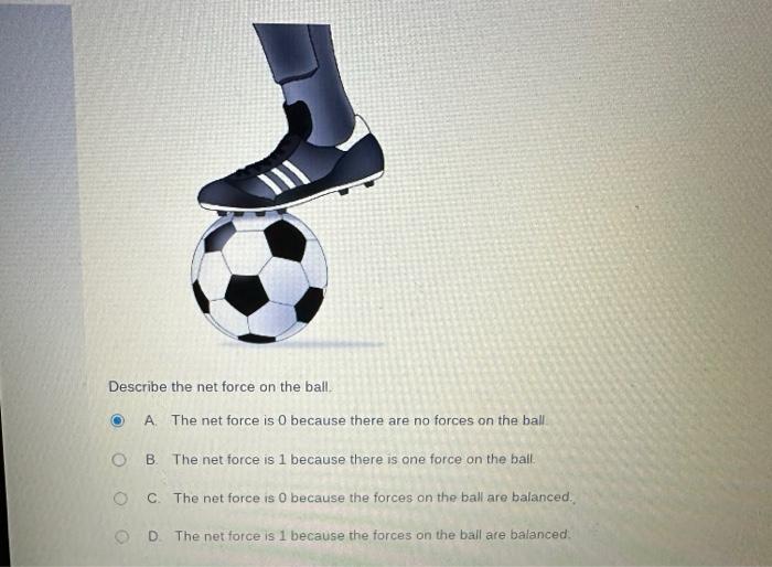 Solved \ Describe the net force on the ball. A. The net | Chegg.com